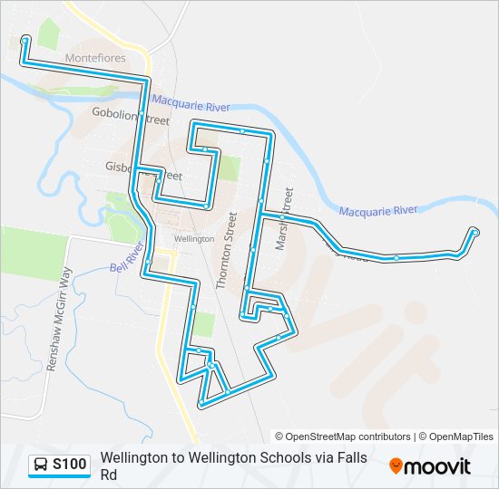 s100 Route: Schedules, Stops & Maps - Town 1 (Updated)