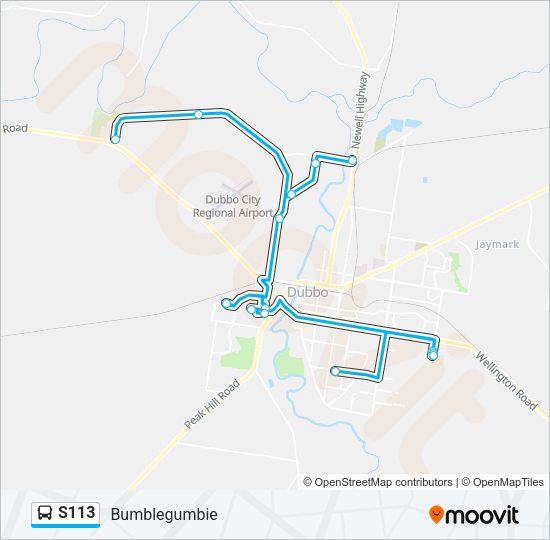 S113 Route: Schedules, Stops & Maps - Bumblegumbie (Updated)