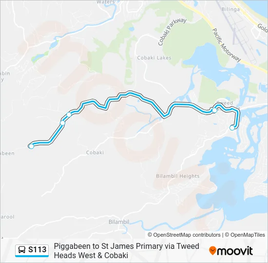S113 Route: Schedules, Stops & Maps - Scenic Dr (Updated)