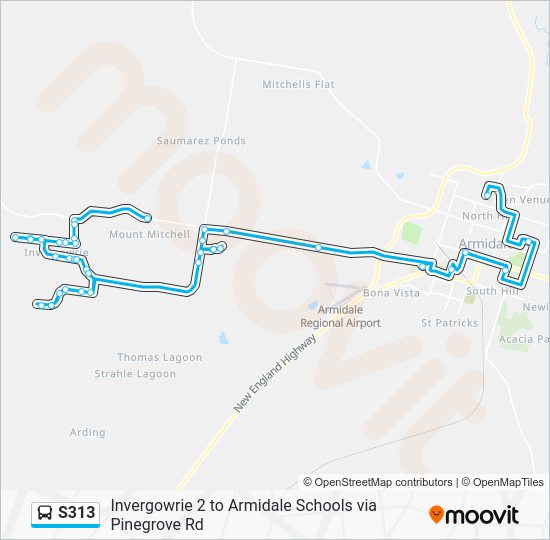 S313 Route: Schedules, Stops & Maps - Invergowrie Sch Bus (Updated)