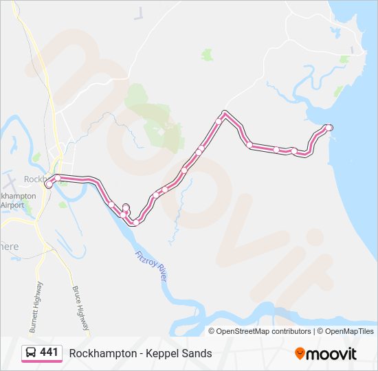 441 Route: Schedules, Stops & Maps - Keppel Sands (Updated)