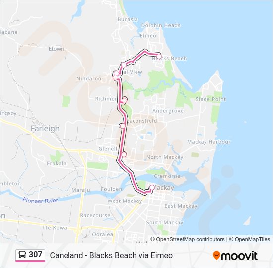 307 Route: Schedules, Stops & Maps - Caneland Central (Updated)