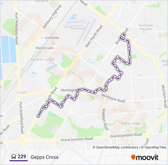 229 Route: Schedules, Stops & Maps - Gepps Cross (Updated)