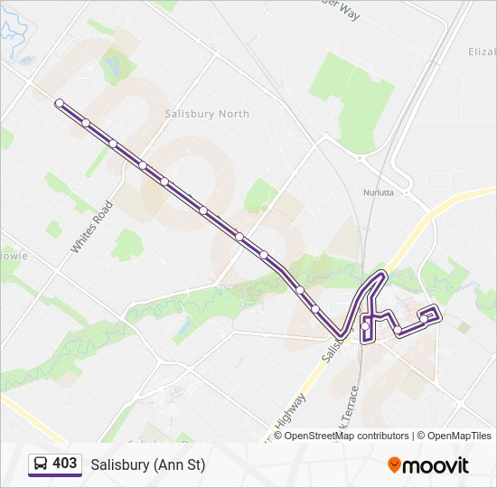 403 Route: Schedules, Stops & Maps - Salisbury (Ann St) (Updated)