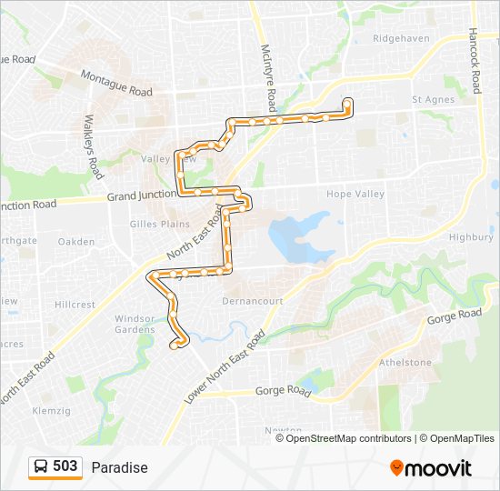 503 Route: Schedules, Stops & Maps - Paradise (Updated)