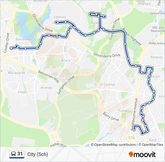 31 Route: Schedules, Stops & Maps - City (Sch) (Updated)