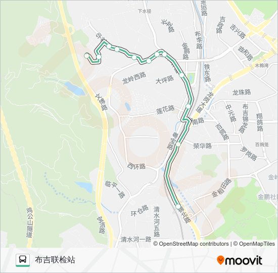 956 Route: Schedules, Stops & Maps - 布吉联检站 (Updated)