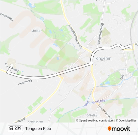 239 Itinéraire: Horaires, Arrêts & Plan - Tongeren Pibo (mis à jour)