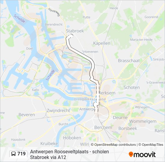 719 Route: Schedules, Stops & Maps - Stabroek Pito (Updated)