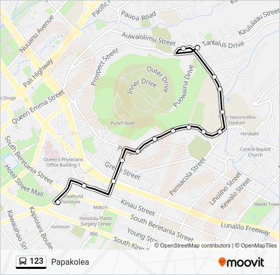 123 Route: Schedules, Stops & Maps - Papakolea (Updated)