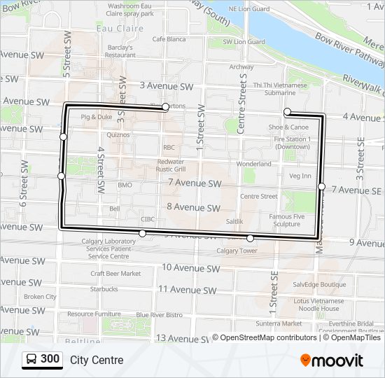 300 Route: Schedules, Stops & Maps - City Centre (Updated)