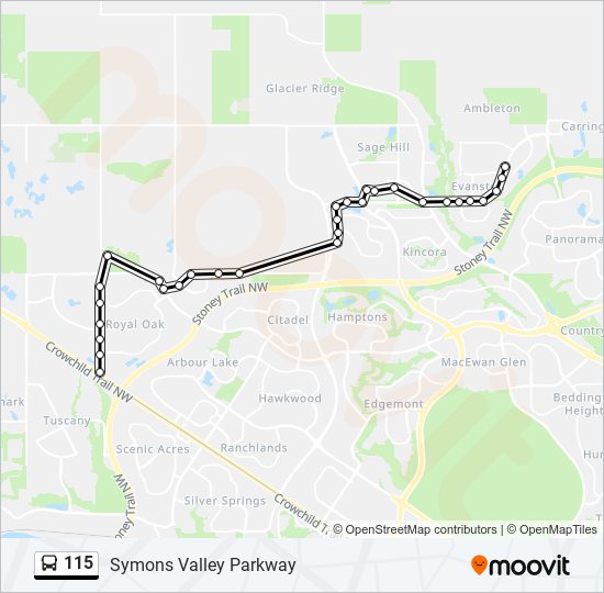 115 Route: Schedules, Stops & Maps - Tuscany (Updated)