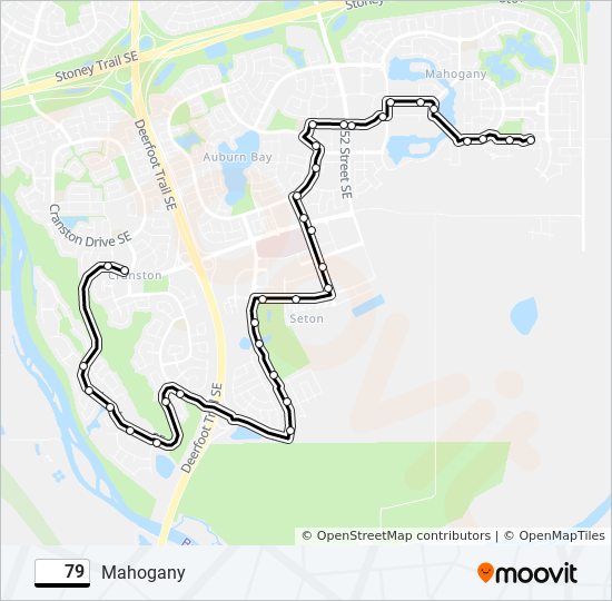 79 Route: Schedules, Stops & Maps - Mahogany (Updated)