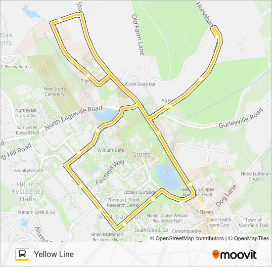 YELLOW Route: Schedules, Stops & Maps - Bookstore (Updated)