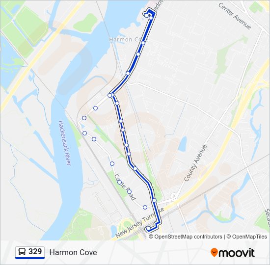 329 Route: Schedules, Stops & Maps - Harmon Cove (Updated)