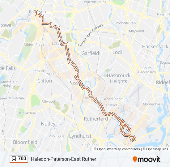 703 Route: Schedules, Stops & Maps - Paterson Broadway Terminal (Updated)