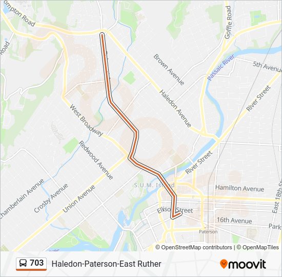703 Route: Schedules, Stops & Maps - Haledon (Updated)
