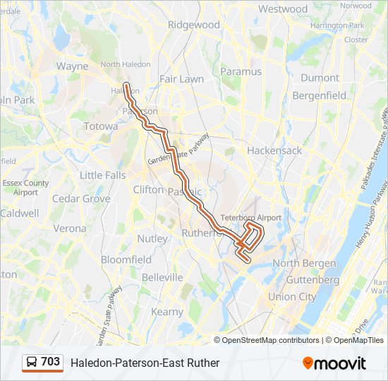 703 Route: Schedules, Stops & Maps - Haledon (Updated)