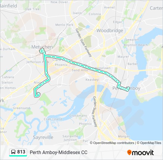 813 Route: Schedules, Stops & Maps - Middlesex College (Updated)