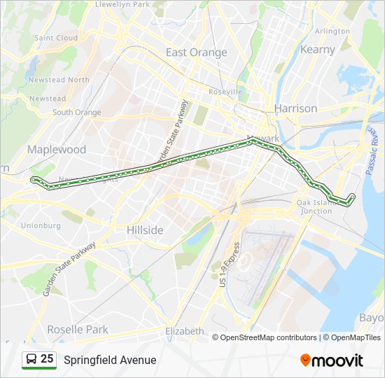 25 Route: Schedules, Stops & Maps - Springfield Avenue Newark Doremus ...