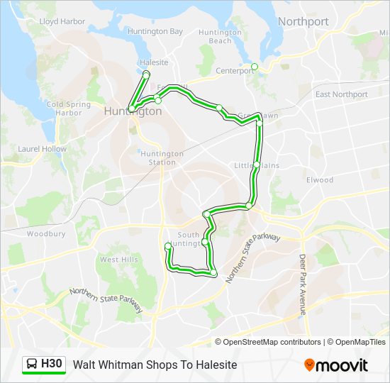 H30 Route: Schedules, Stops & Maps - Walt Whitman Shops To Halesite ...