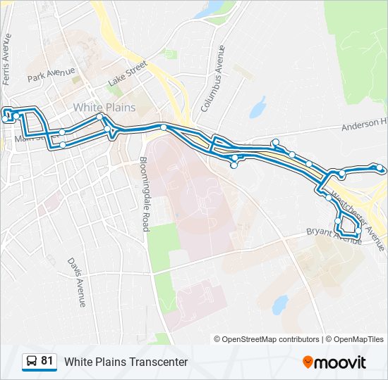 81 Route: Schedules, Stops & Maps - White Plains Transcenter (Updated)