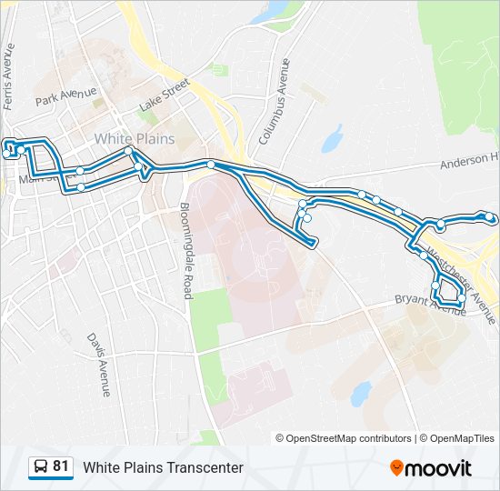81 Route: Schedules, Stops & Maps - White Plains Transcenter (Updated)