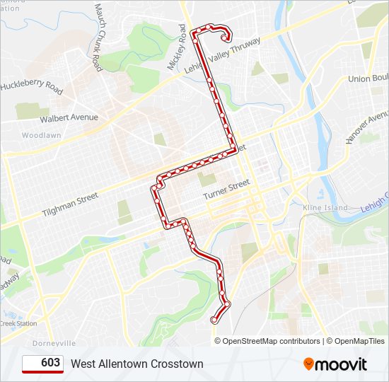 603 Route: Schedules, Stops & Maps - Parkway Shopping Center (Updated)