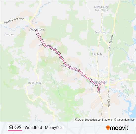 895 Route: Schedules, Stops & Maps - Woodford Community Hall (Updated)
