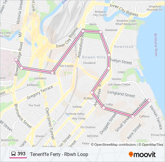 393 Route: Schedules, Stops & Maps - RBWH Station (Updated)