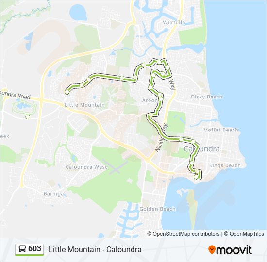 603 Route: Schedules, Stops & Maps - Caloundra Station (Updated)