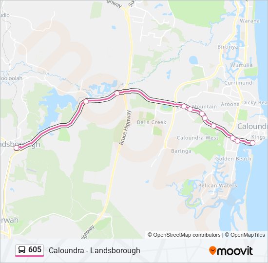605 Route: Schedules, Stops & Maps - Landsborough Station (Updated)