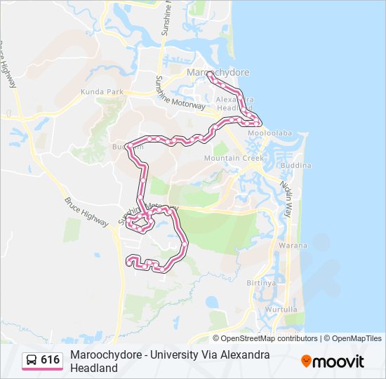 616 Route: Schedules, Stops & Maps - Maroochydore Station (Updated)