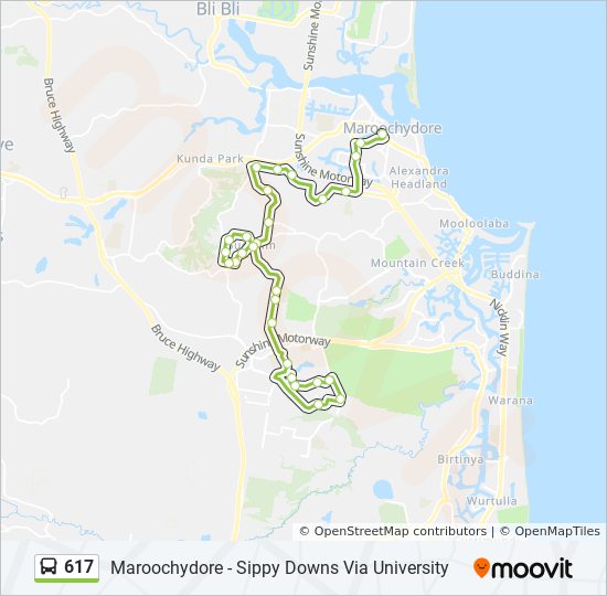 617 Route: Schedules, Stops & Maps - Sippy Downs, Parkville St (Updated)