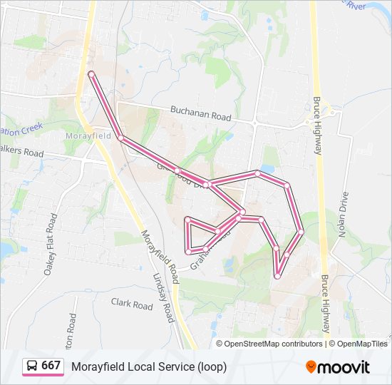 667 Route: Schedules, Stops & Maps - Morayfield (Updated)