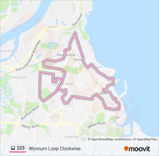 223 Route: Schedules, Stops & Maps - Wynnum Plaza (Updated)