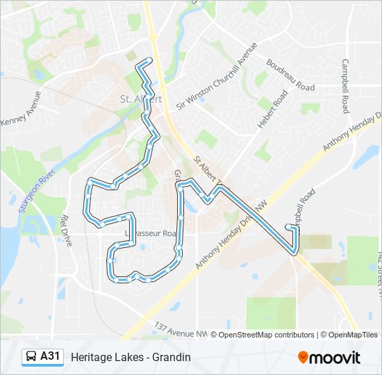 a31 Route: Schedules, Stops & Maps - Naki Transit Centre (Updated)