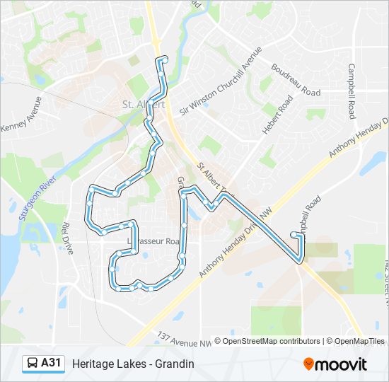 a31 Route: Schedules, Stops & Maps - Naki Transit Centre (Updated)