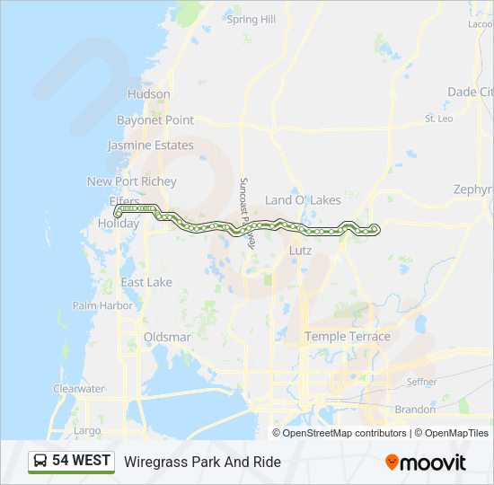 54 WEST Route: Schedules, Stops & Maps - Wiregrass Park And Ride (Updated)