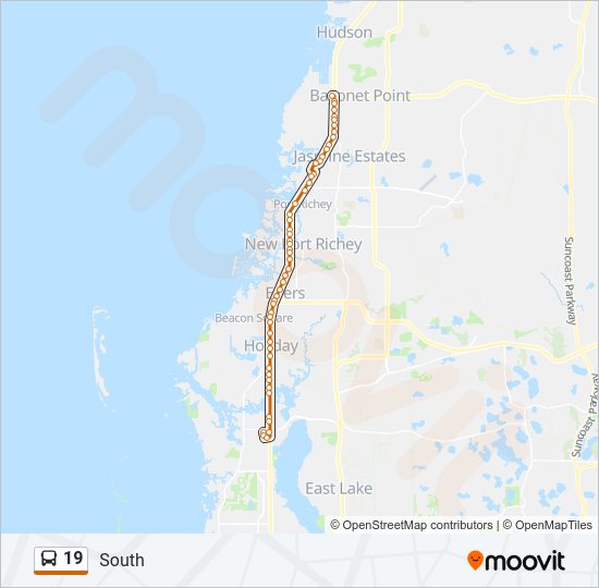 19 Route: Schedules, Stops & Maps - South (Updated)