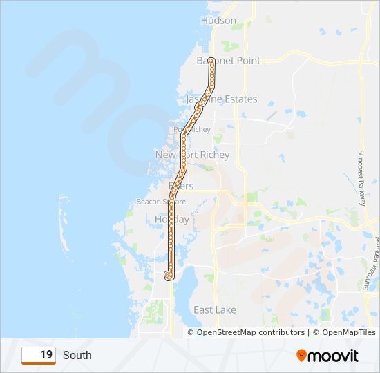 19 Route: Schedules, Stops & Maps - South (Updated)