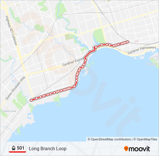 501 Route: Schedules, Stops & Maps - Long Branch Loop (Updated)