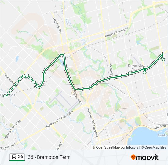 36 Route: Schedules, Stops & Maps - 36 - Brampton Term (Updated)