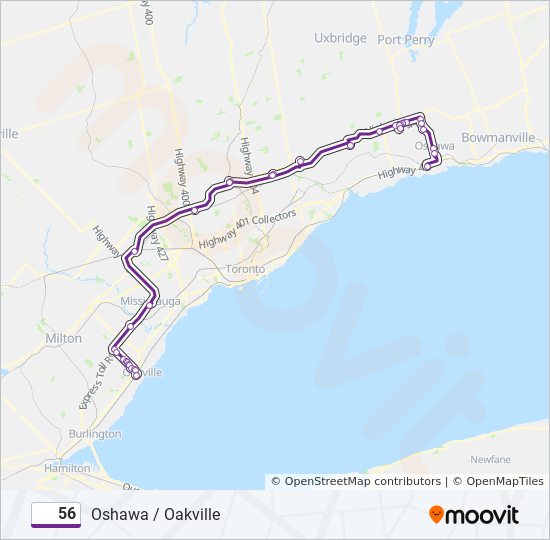 56 Route: Schedules, Stops & Maps - 56 - Dc Oshawa Go (Updated)