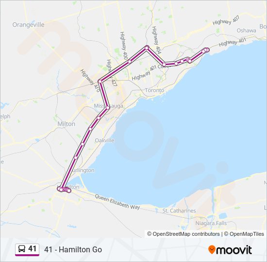 41 Route: Schedules, Stops & Maps - 41 - Hamilton Go (Updated)