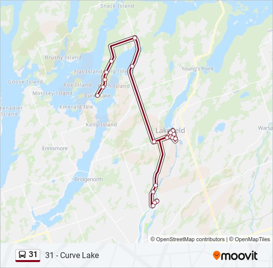 31 Route: Schedules, Stops & Maps - 31 - Curve Lake (Updated)