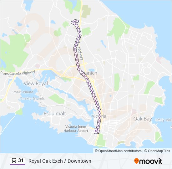 31 Route: Schedules, Stops & Maps - Royal Oak Exch - via Glanford (Updated)