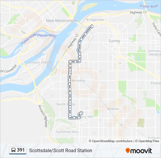 391 Route: Schedules, Stops & Maps - Scott Rd Station (Updated)