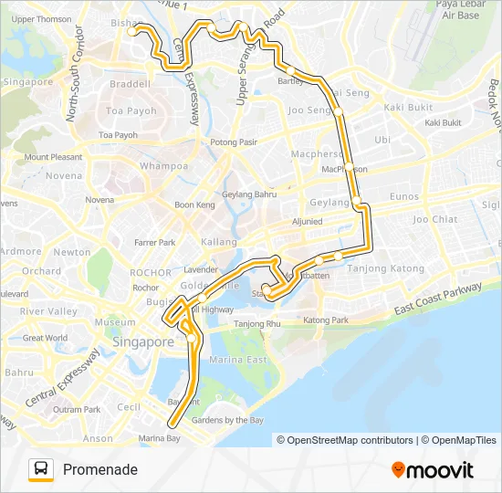 S37 Route: Schedules, Stops & Maps - Promenade (Updated)