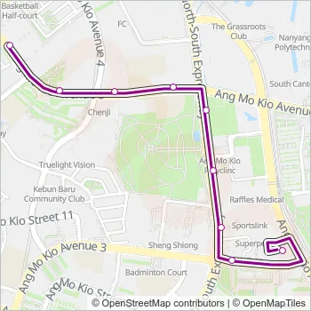 138 Route: Schedules, Stops & Maps - Ang Mo Kio Int (Updated)